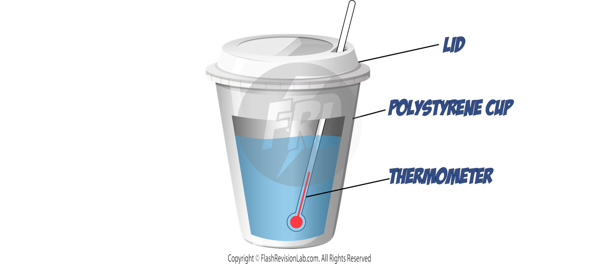 Revision | Flash Revision Lab